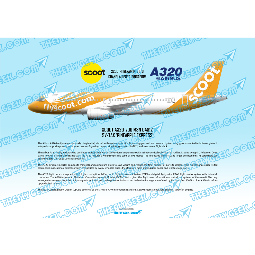 SYFC DA40 - Lithograph - theflygeek